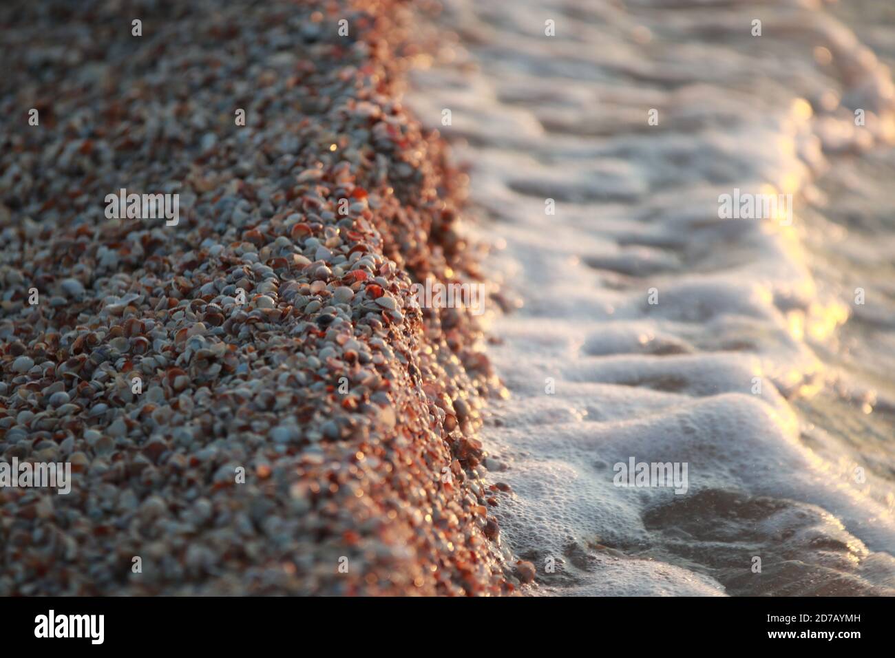 Seashell costline closeup background. Sea shore at sunset with wave and ...