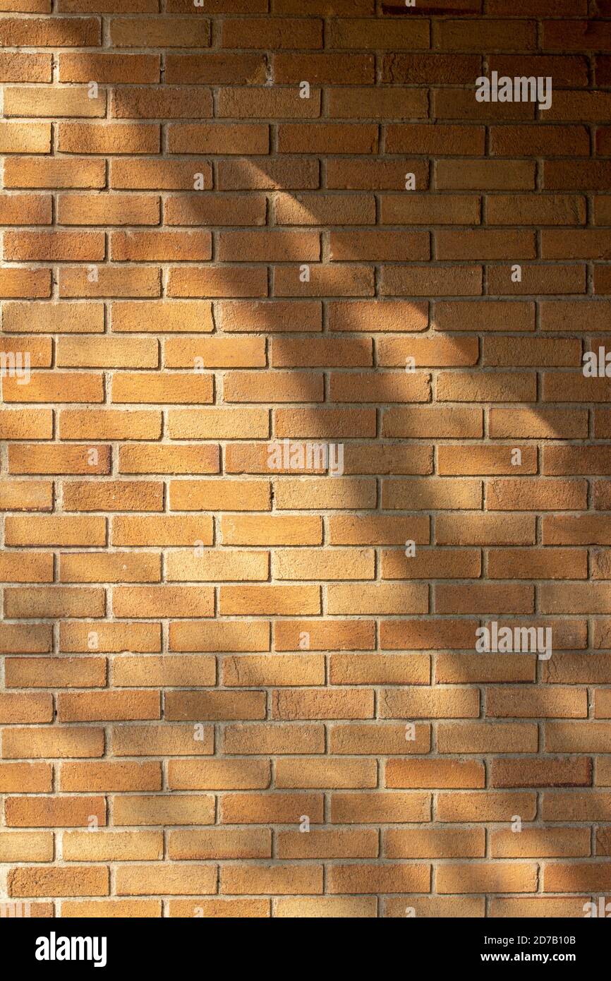 Vintage Tan Backgrounds