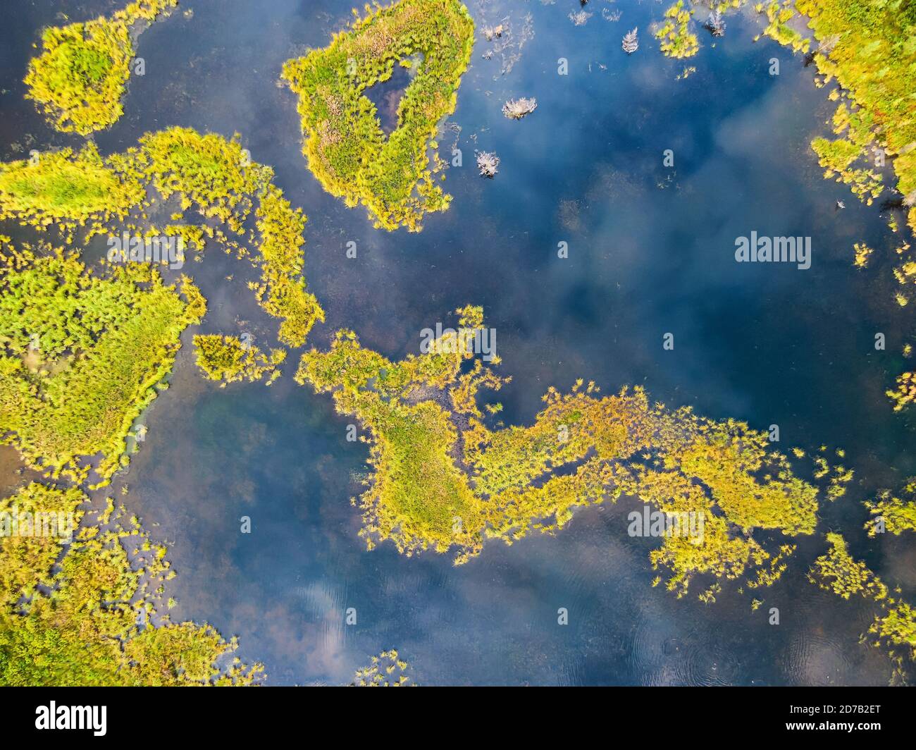 Aerial view of colorful pond in the marshlands Stock Photo - Alamy