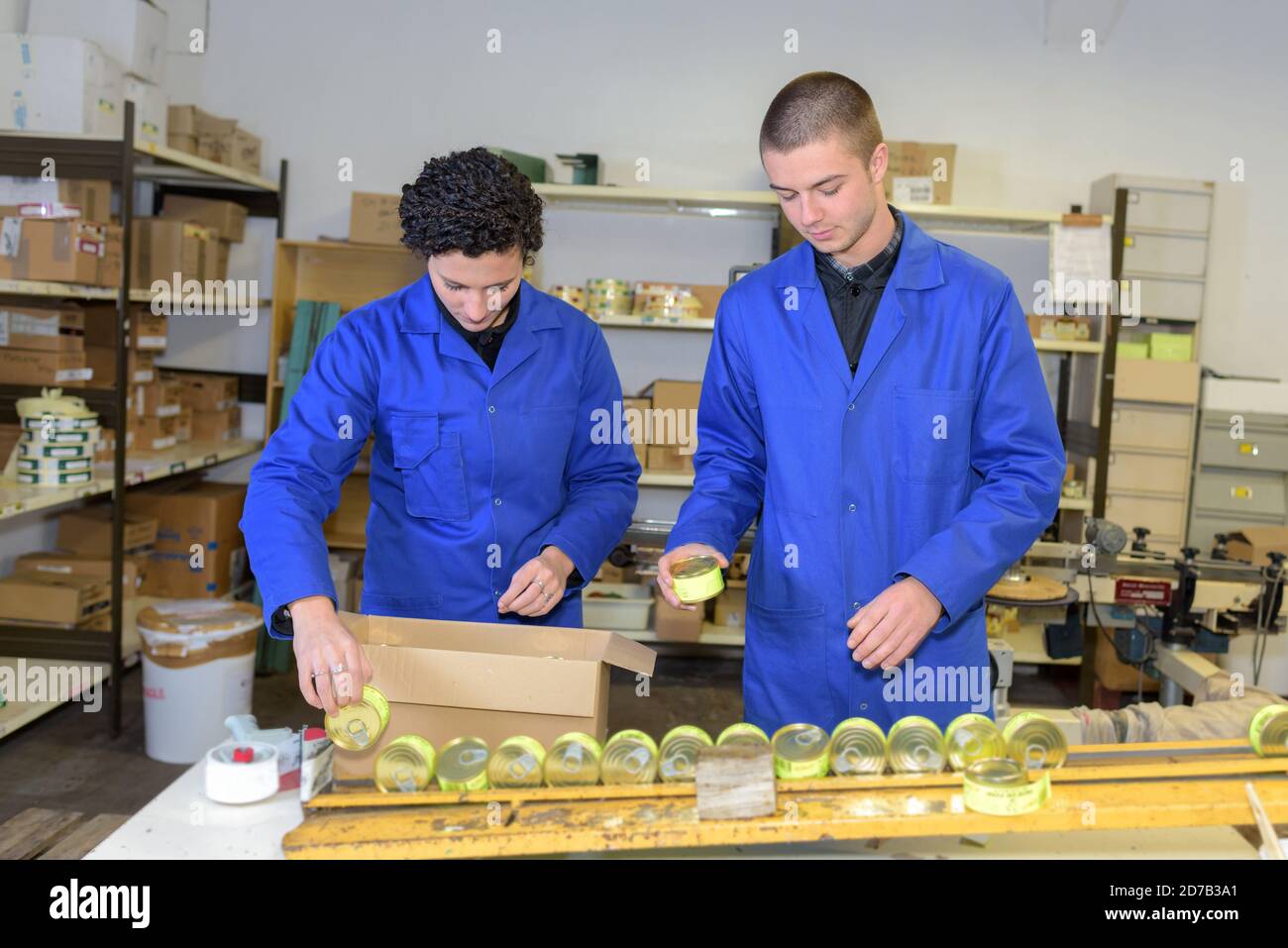 workers in the canning factory Stock Photo - Alamy