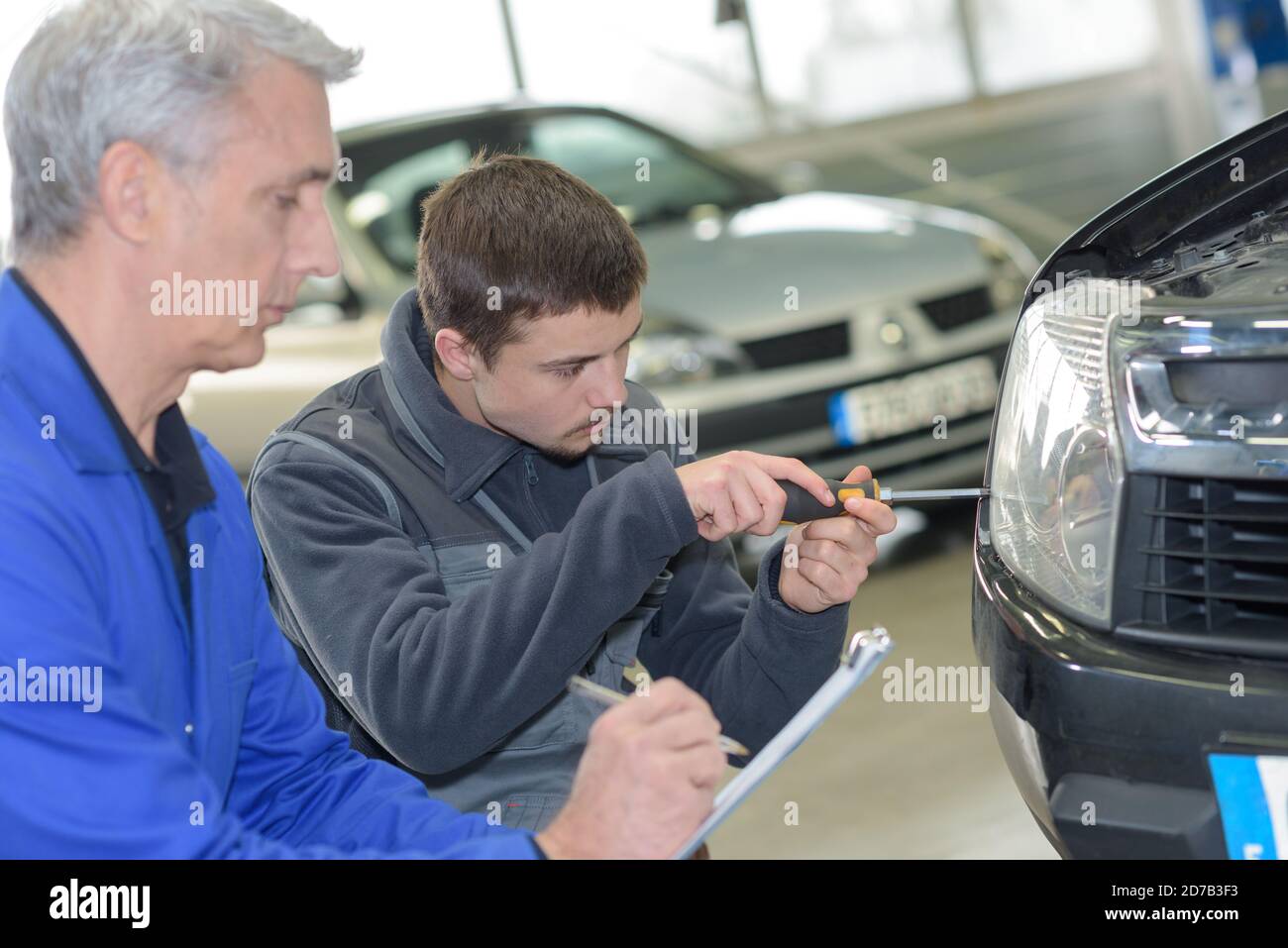 worker instructing apprentice in car wrapping workshop Stock Photo - Alamy