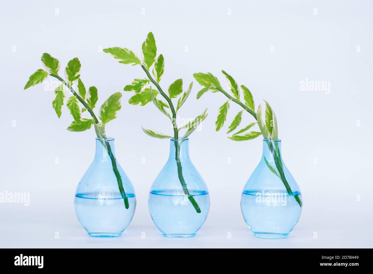 Origins of life laboratory hi-res stock photography and images - Alamy