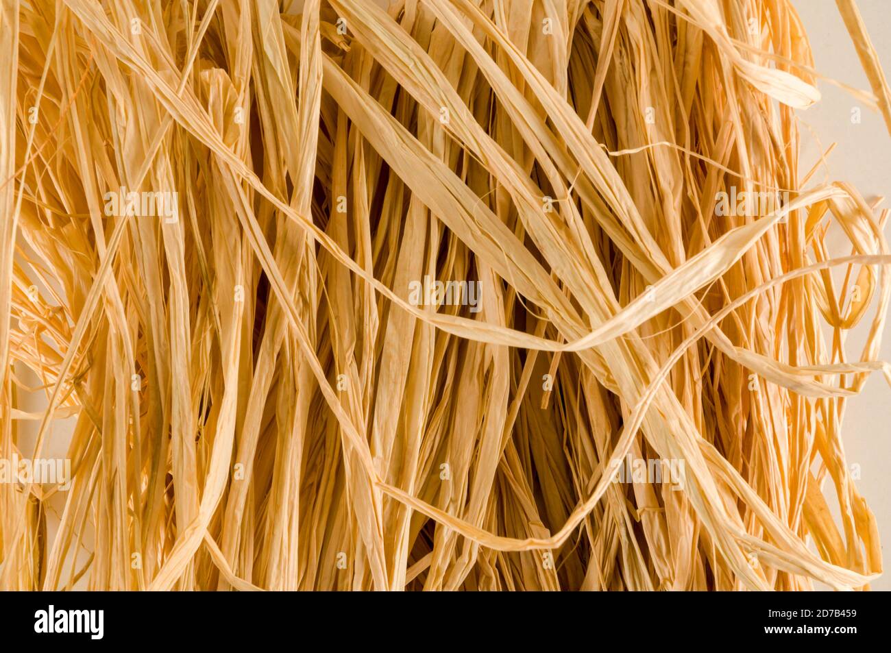 Closeup of golden hay Stock Photo - Alamy