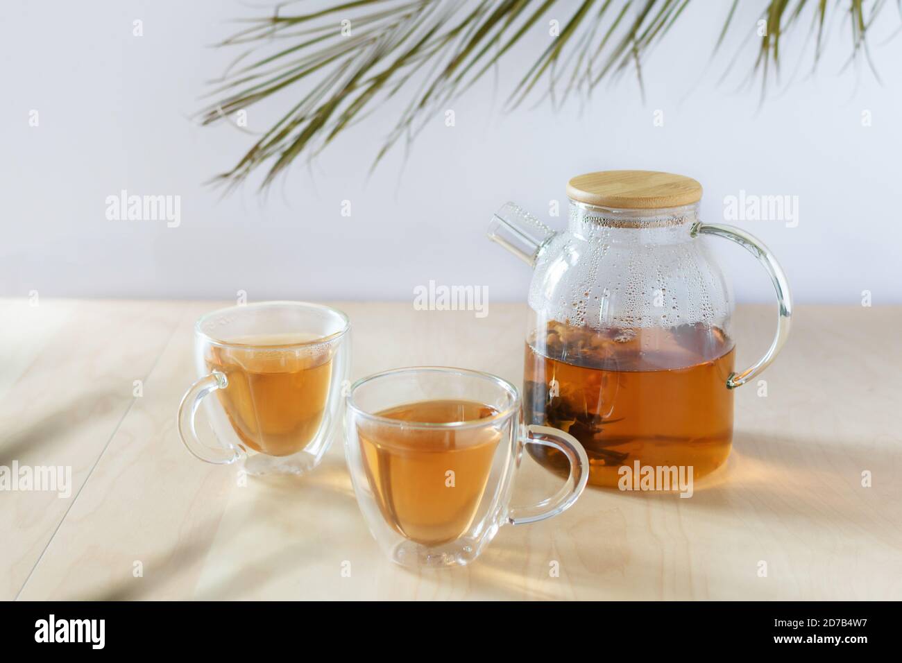 Glass tea pot with flower blooming tea and two tea cups on wooden table ...