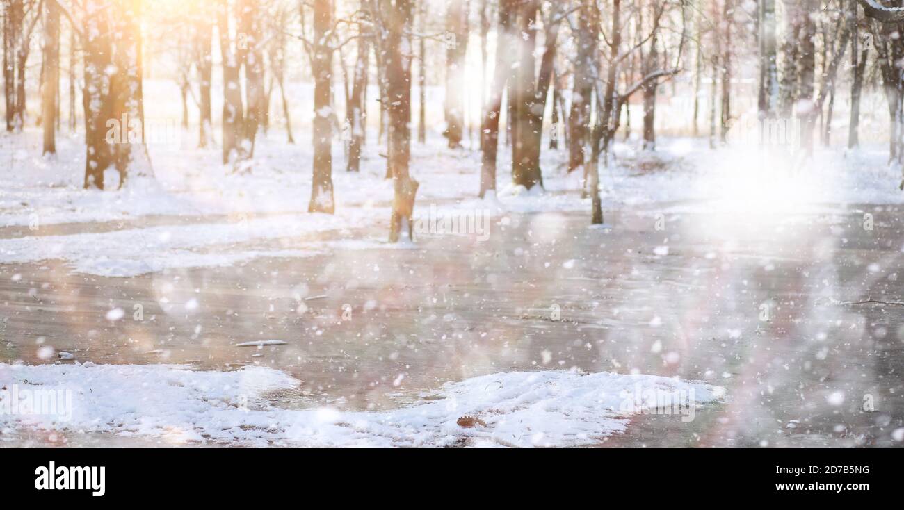 Winter Park. Landscape in snowy weather. January Stock Photo - Alamy