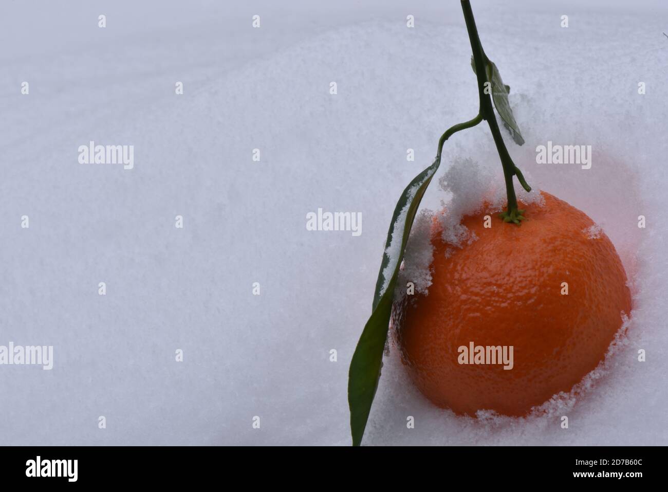 Refreshing leaf hi-res stock photography and images - Alamy