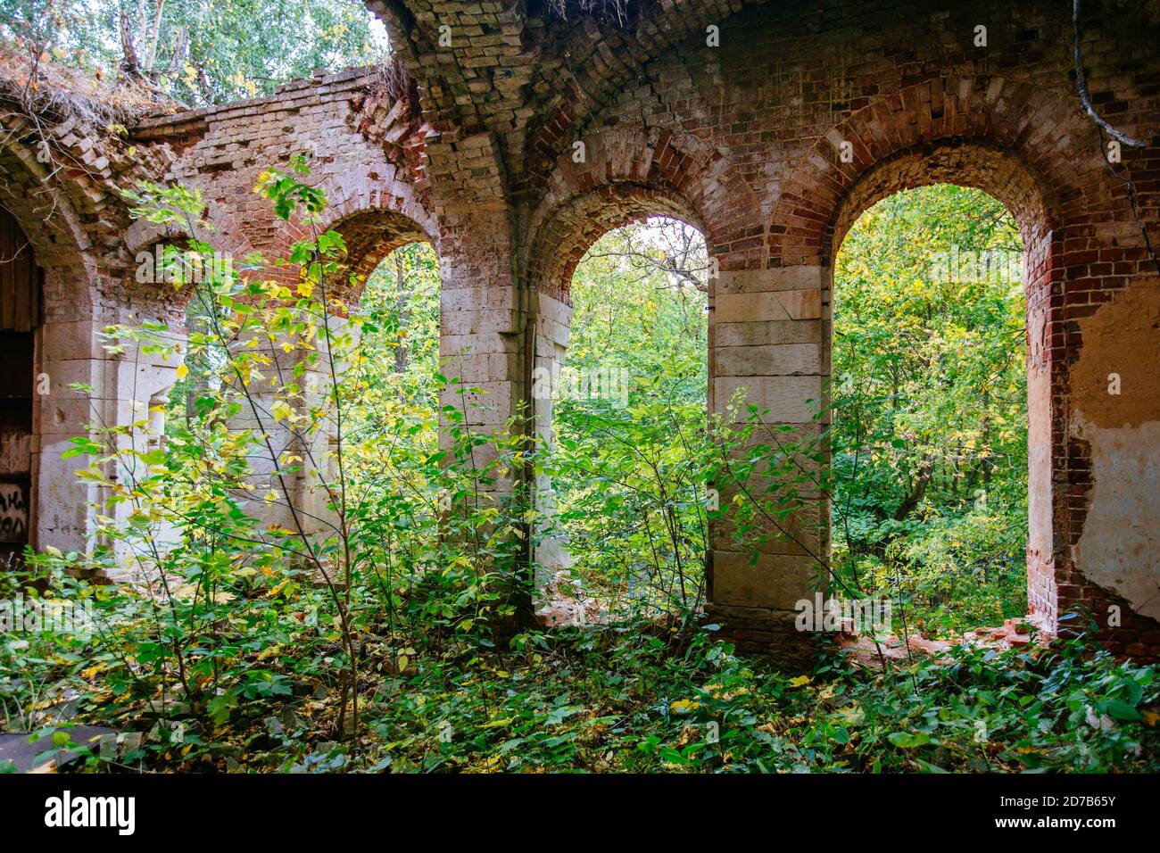 Old ancient abandoned red brick ruins overgrown by plants Stock Photo ...