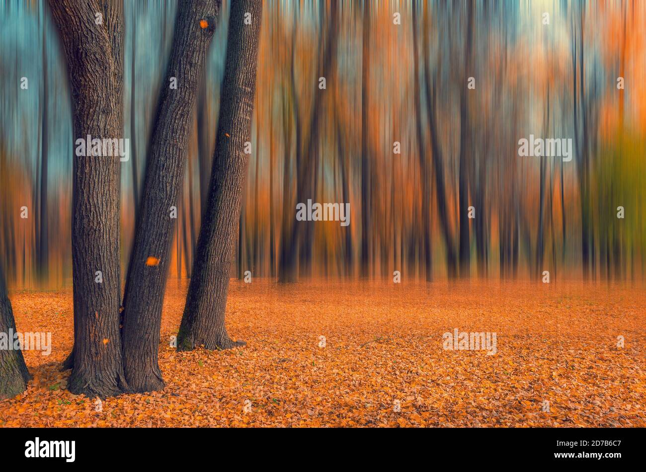 Sunny autumn scene hi-res stock photography and images - Alamy
