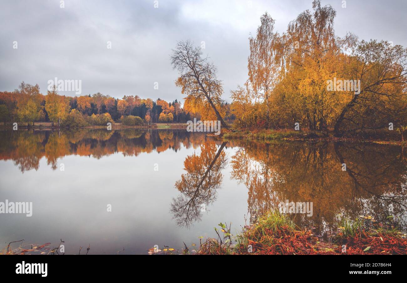 Beautiful autumn scene with forest lake and reflection on water surface ...