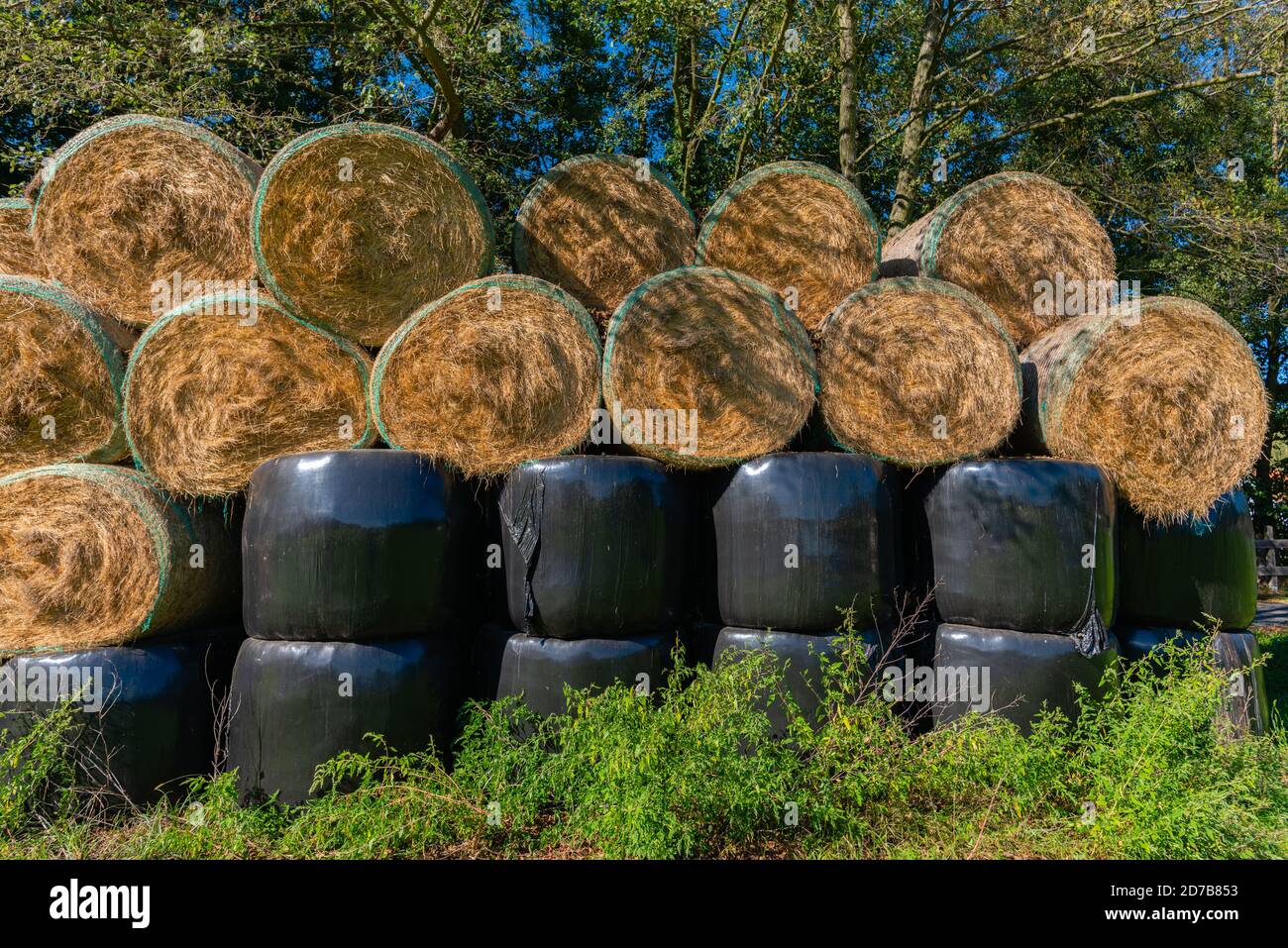 Burg, Oberspreewald, Spree Forest, UNESCO Biosphere Reserve ...