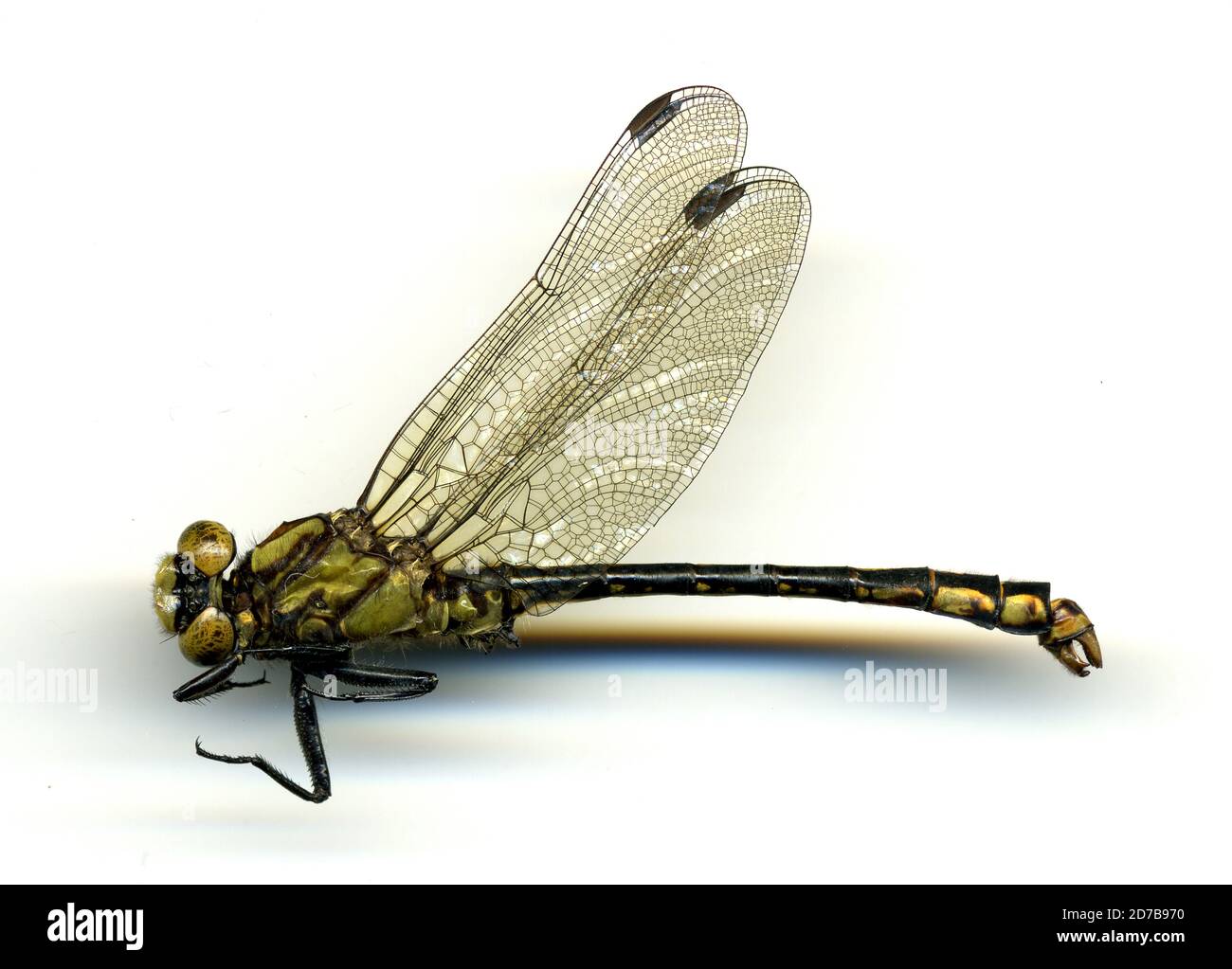 West Branch Ausable River, Riverside Drive, 1/2 miles east of Route 73 ...