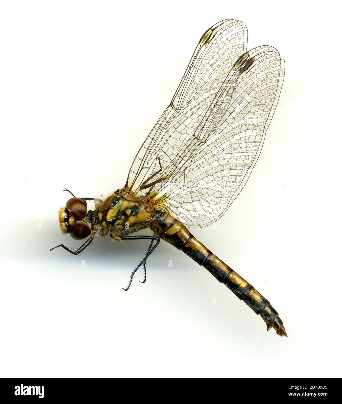 Moosonee hi-res stock photography and images - Alamy