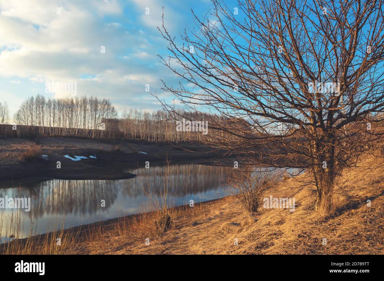 Sunny spring landscape with river and bare trees growing on the ...