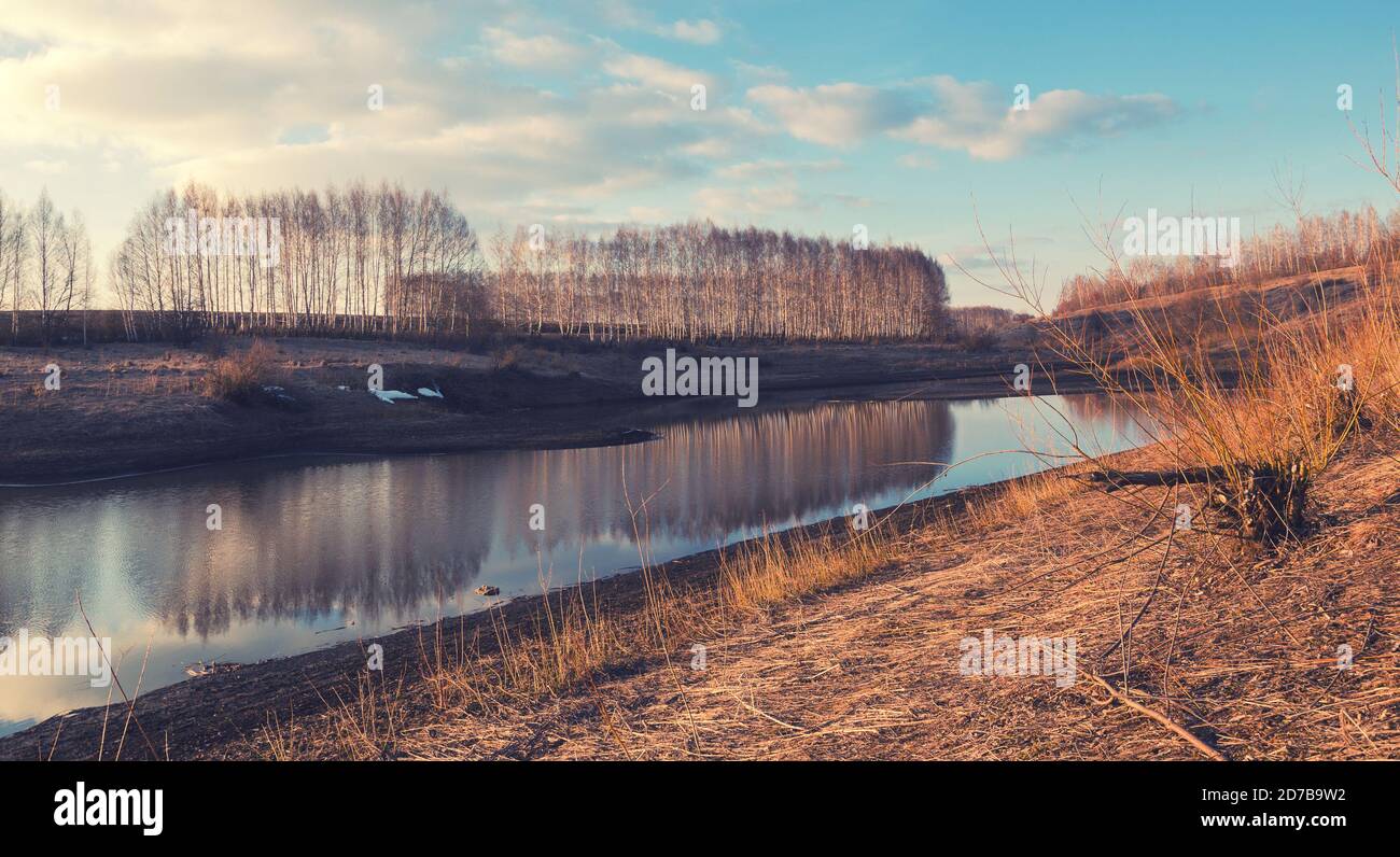 Sunny spring landscape with river and bare trees growing on the ...