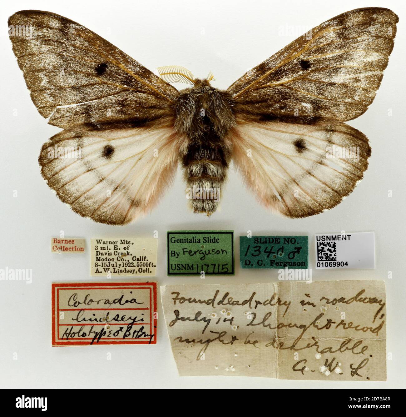 1926 animalia hi-res stock photography and images - Alamy