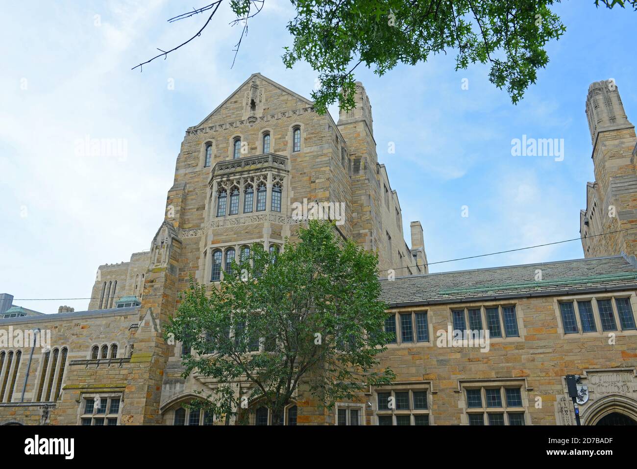 Anne T. and Robert M. Bass Library in Yale University, New Haven ...