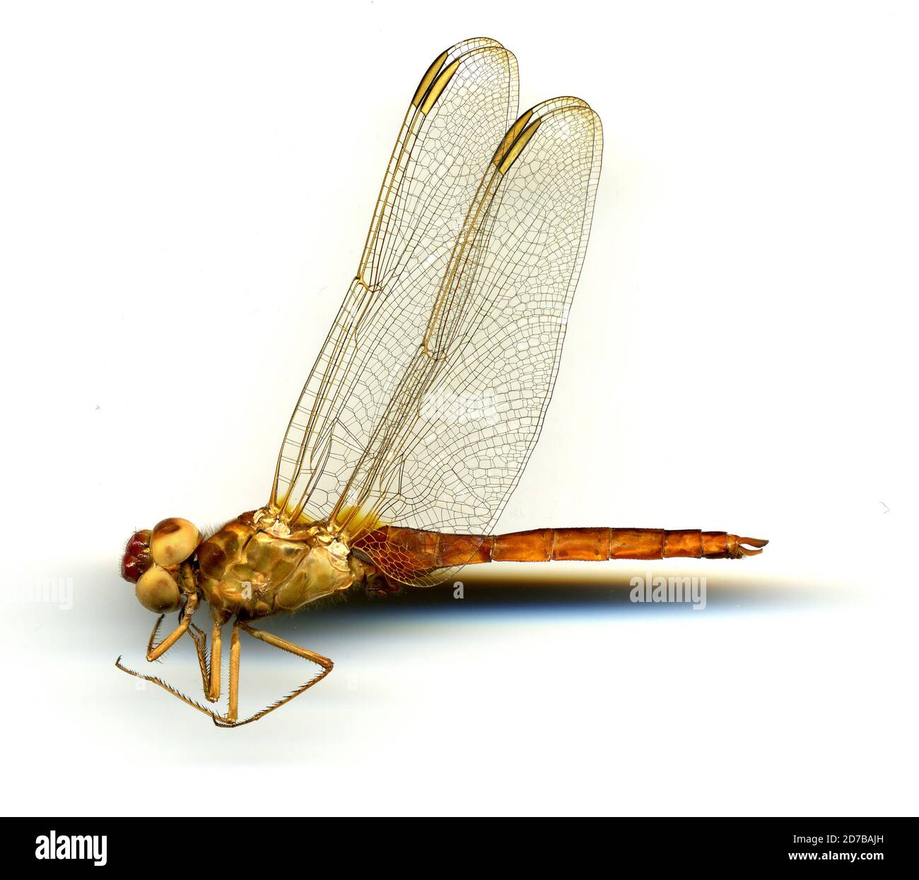 USDA Plant Inspection Station, pond at entrance, pond is apparently ...