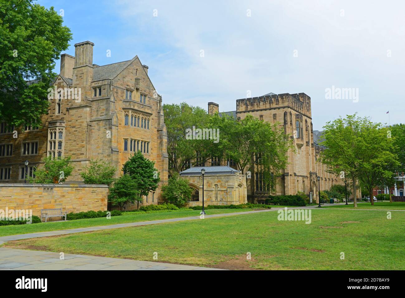 Anne T. and Robert M. Bass Library in Yale University, New Haven ...