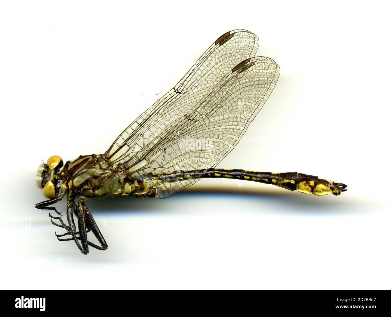Fall Creek, bridge on Ben Williams Road, about 6 miles northwest of ...