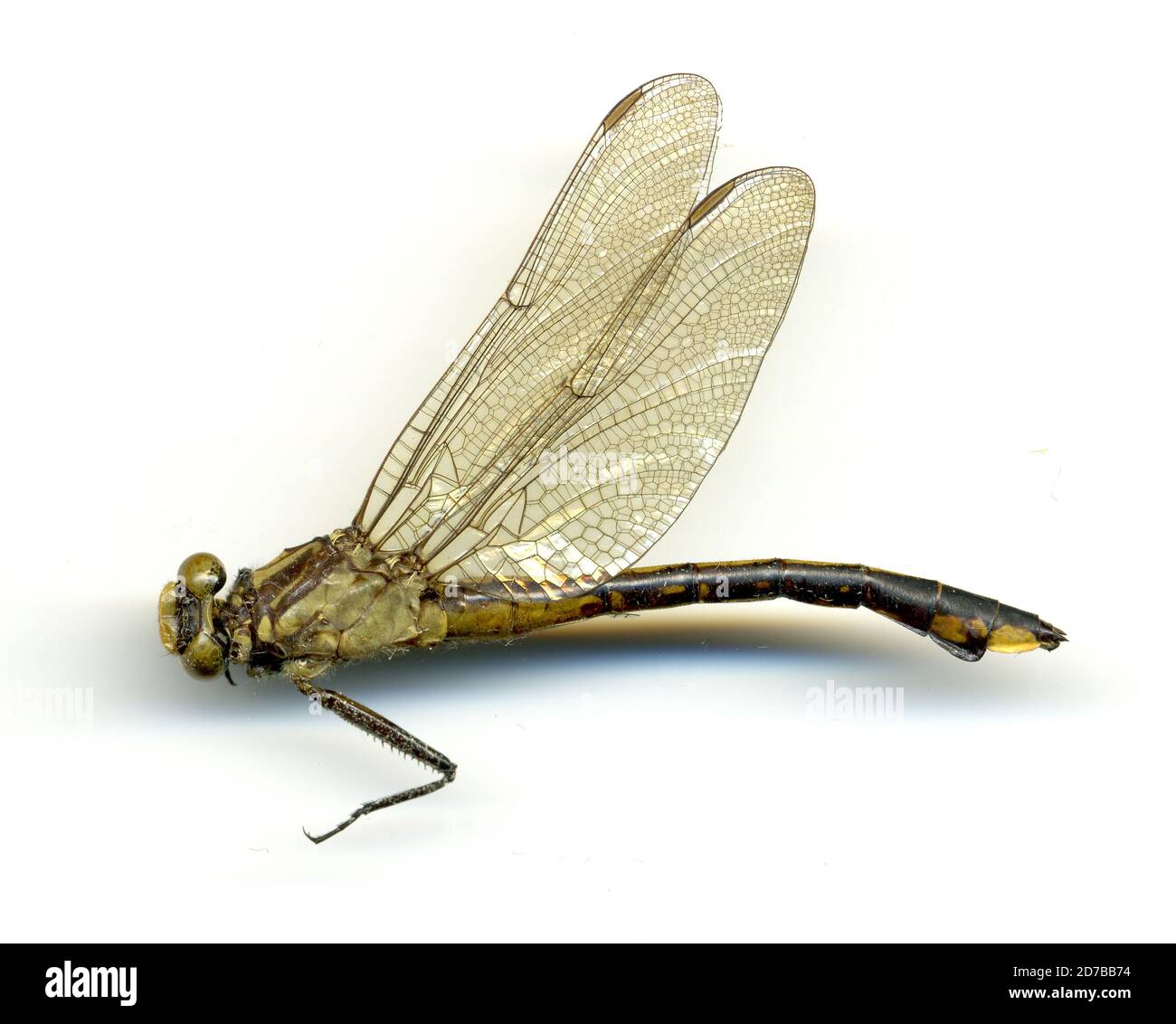 Chippewa River, Boy Scout Camp, Midland, Michigan, United States ...