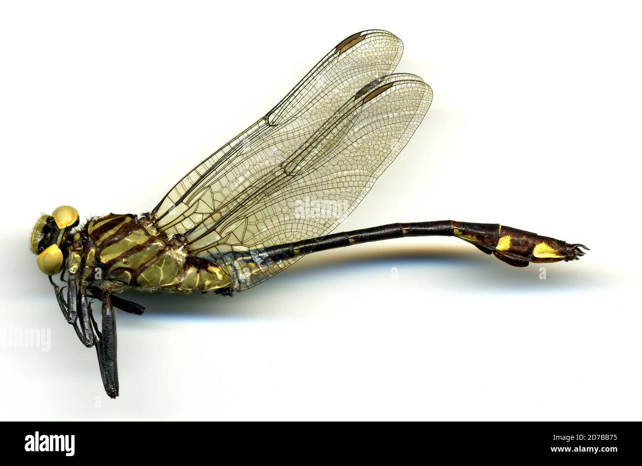 Chunky River, Highway 80, Chunky, Newton, Mississippi, United States ...