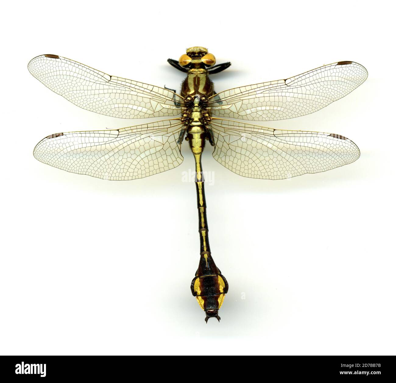 Country Line Creek, Highway 86, Yanceyville, Caswell, North Carolina ...