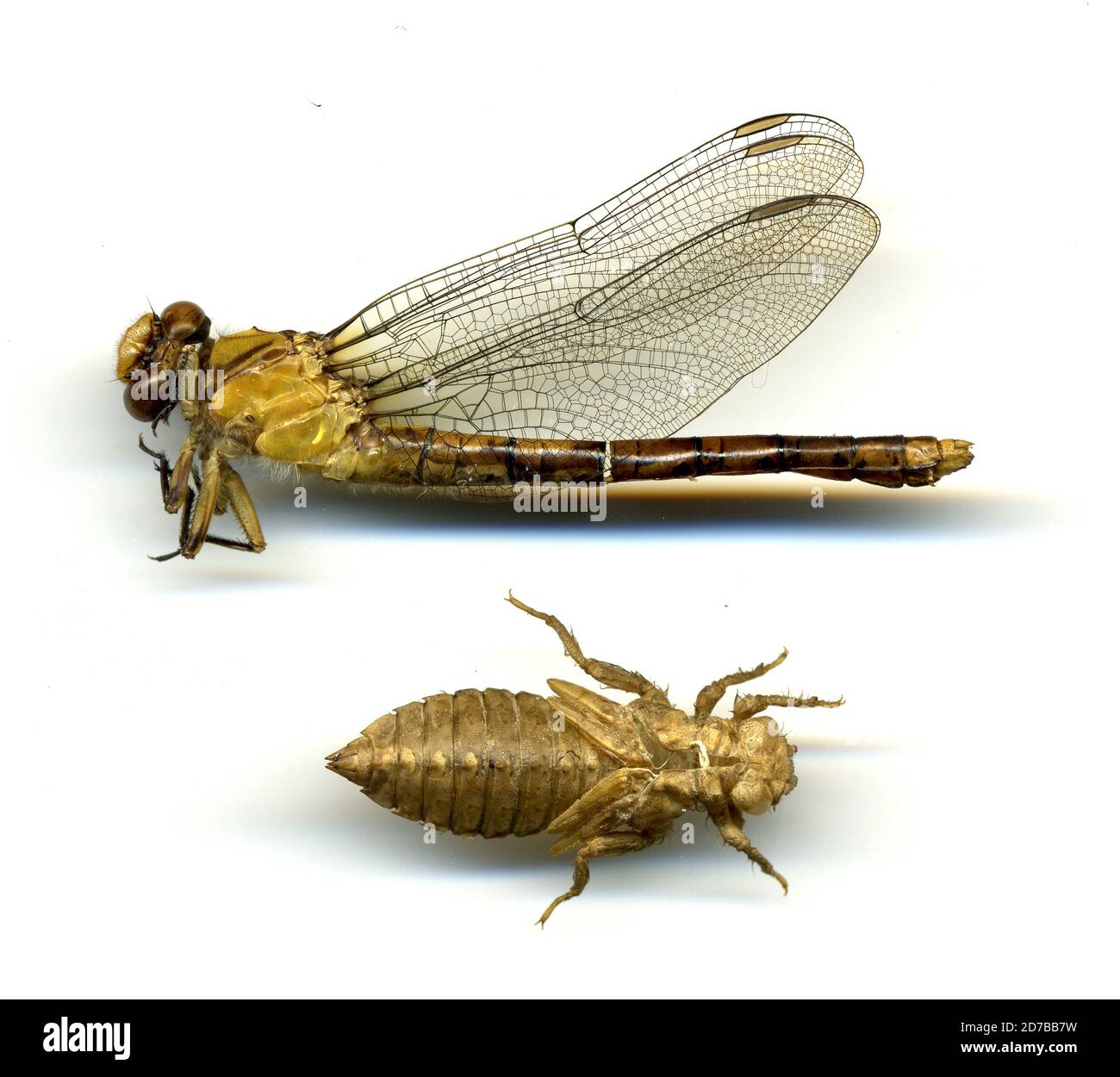 Will Hall Creek, US Highway 70, Montgomery Bell State Park, Dickson ...