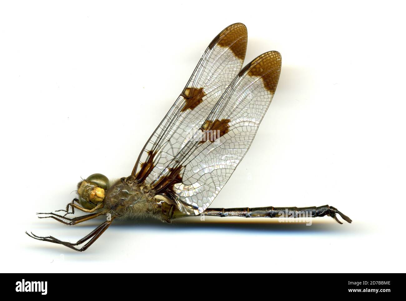 Clark State Forest. Franke Lake, Clark, Indiana, United States ...