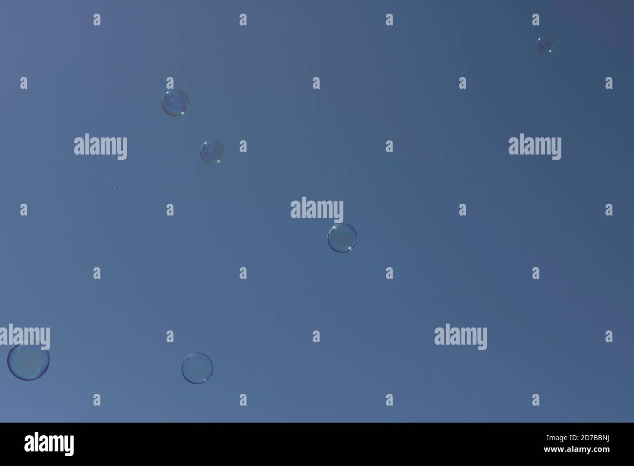 Soap bubbles floating in the sky Stock Photo - Alamy