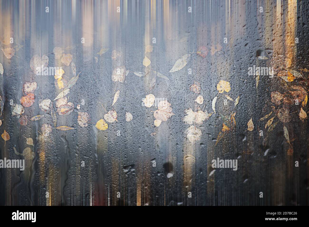 Background autumn rain in the park Stock Photo - Alamy