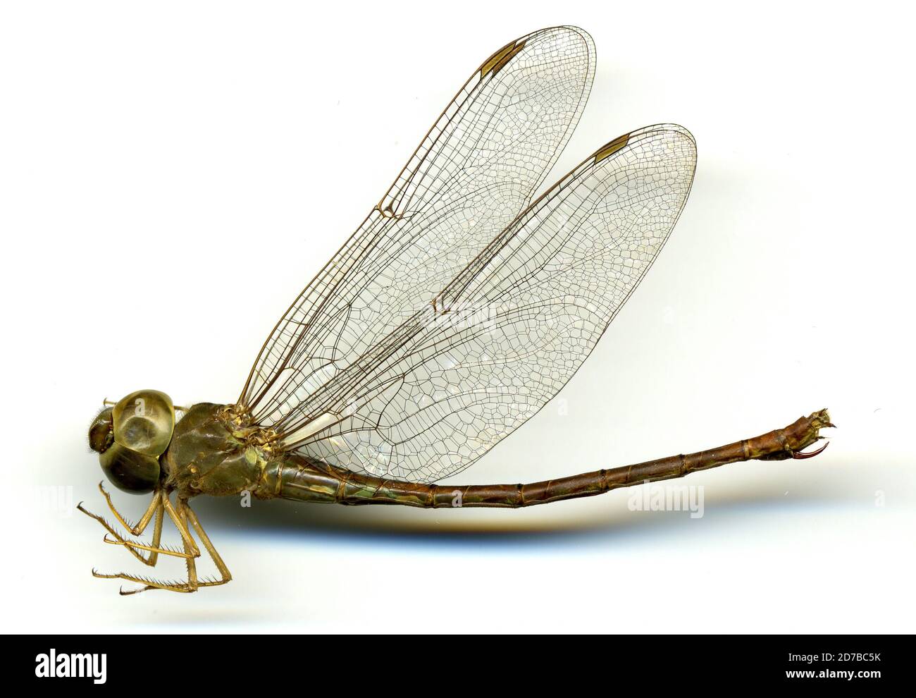 Georgetown, in flat, 300 Garden Street, Demerara-Mahaica, Guyana ...