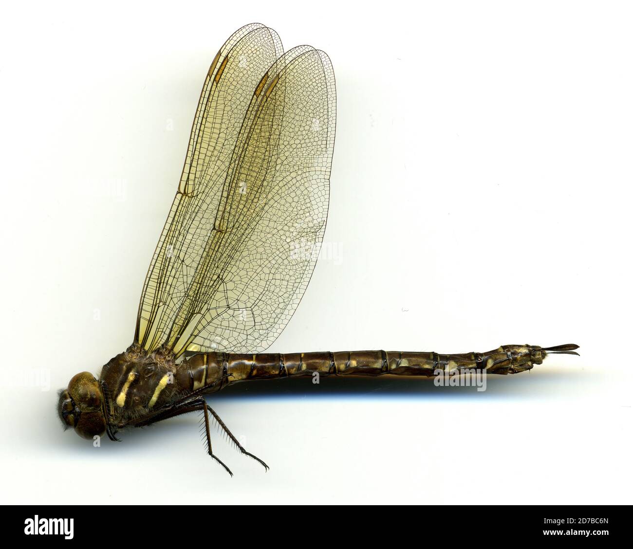 Barron River Canyon Trail, Algonquin Park, Nipissing, Ontario, Canada ...
