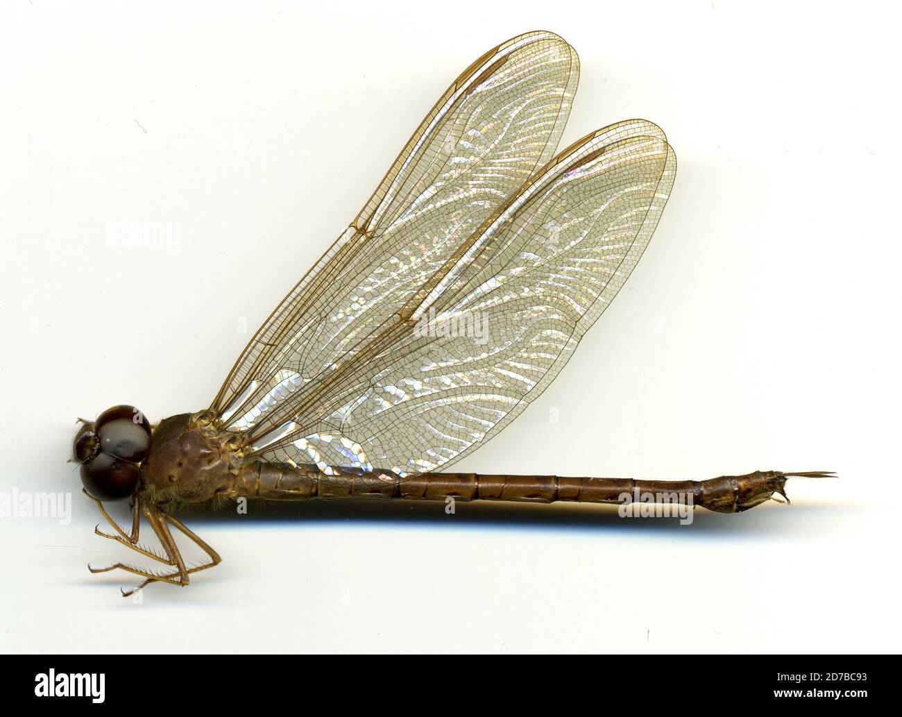 Hatchet Creek, Highway S-225, Alachua, Florida, United States ...