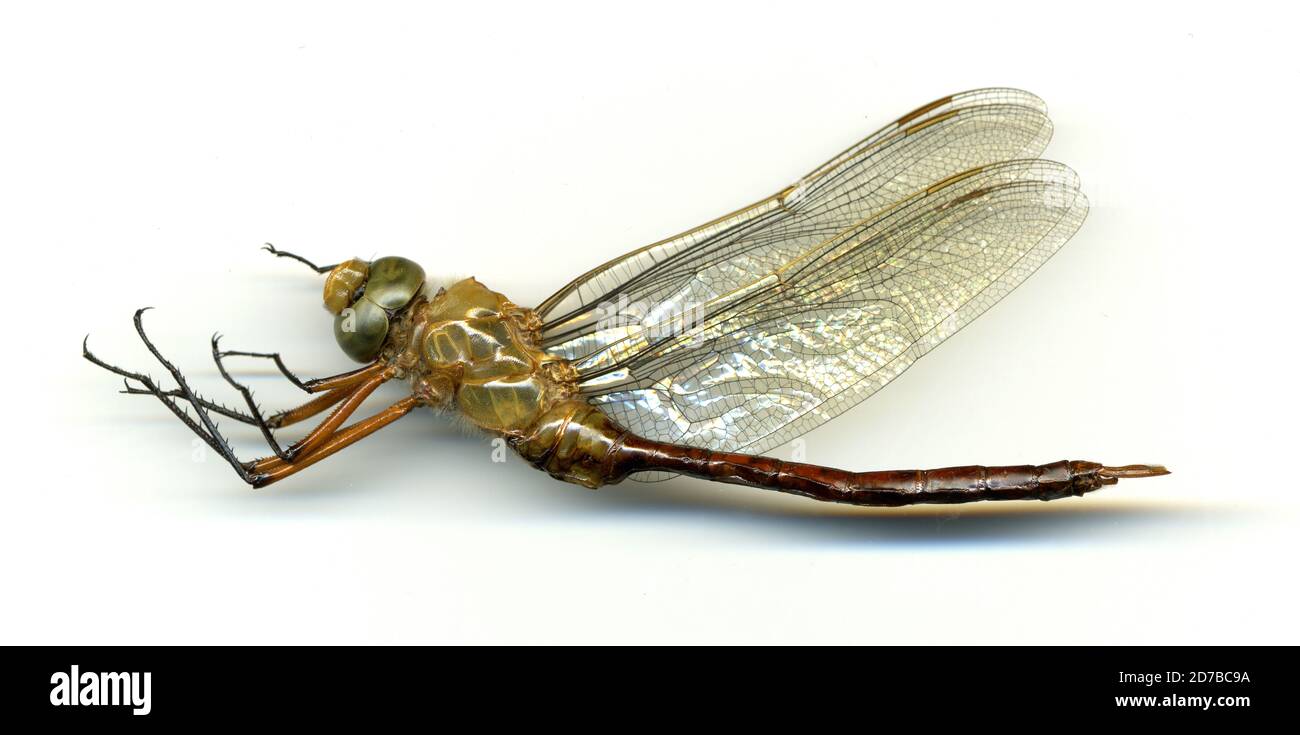 Purdue University Forage Farm, Pond B, Dubois, Indiana, United States ...