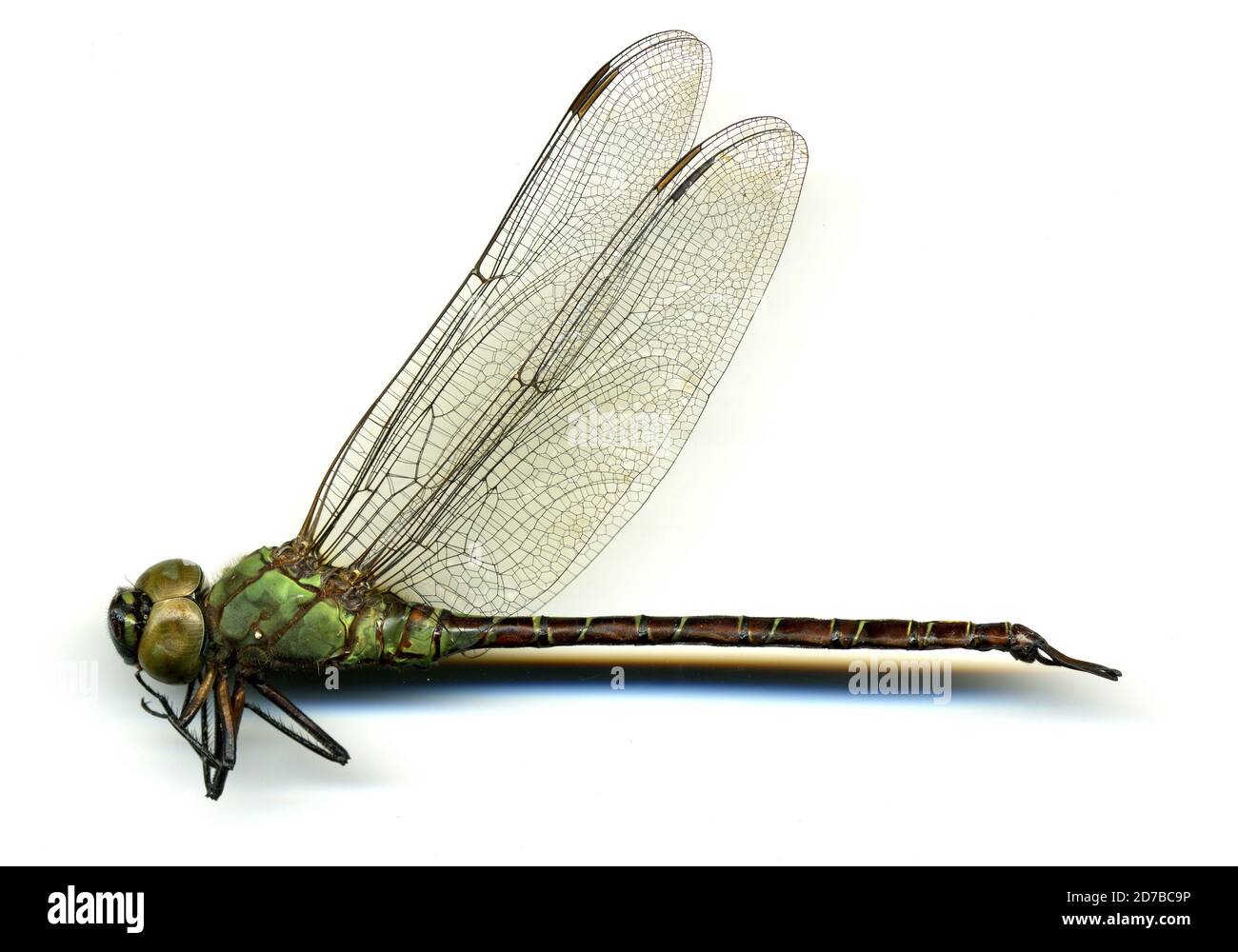 Havana, Rio Ariguanabo, Base de Campismo, 4 km N San Antonio de los ...