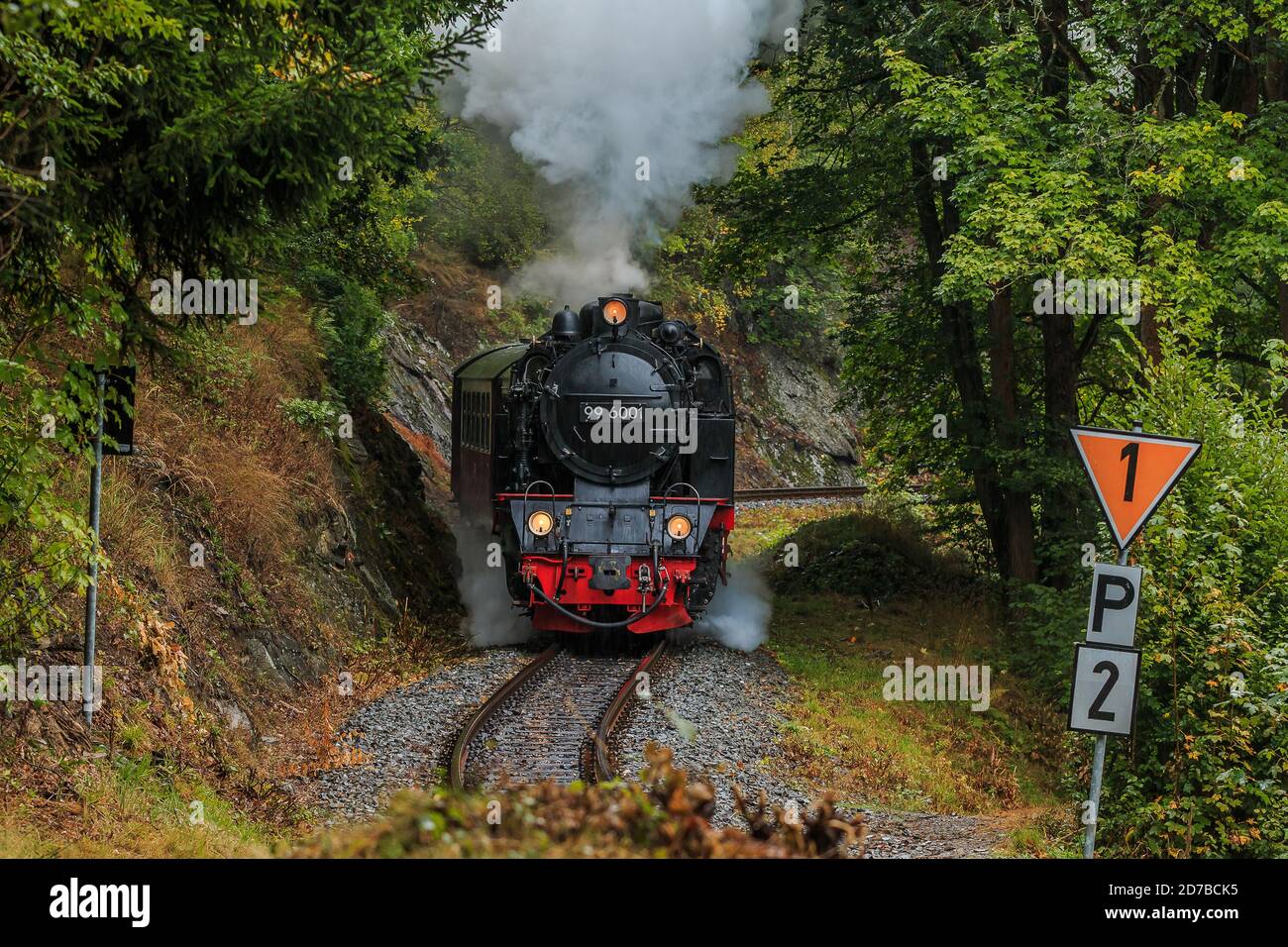 Steam locomotive from the front under steam in a valley of trees and ...