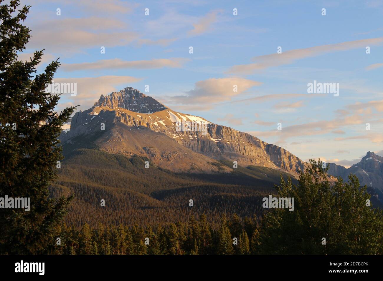 My first Golden Hour photo. I still love it Stock Photo - Alamy