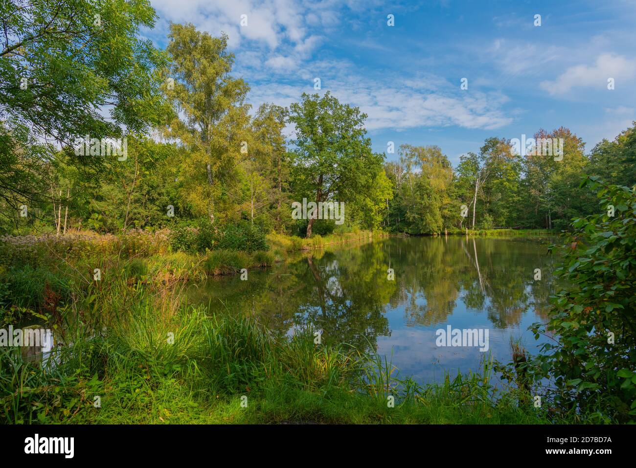 Spreewald lake forest landscape hi-res stock photography and images - Alamy