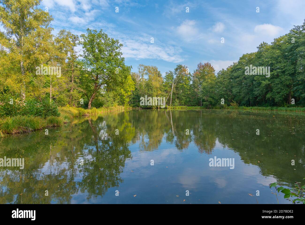 Spreewald lake forest landscape hi-res stock photography and images - Alamy