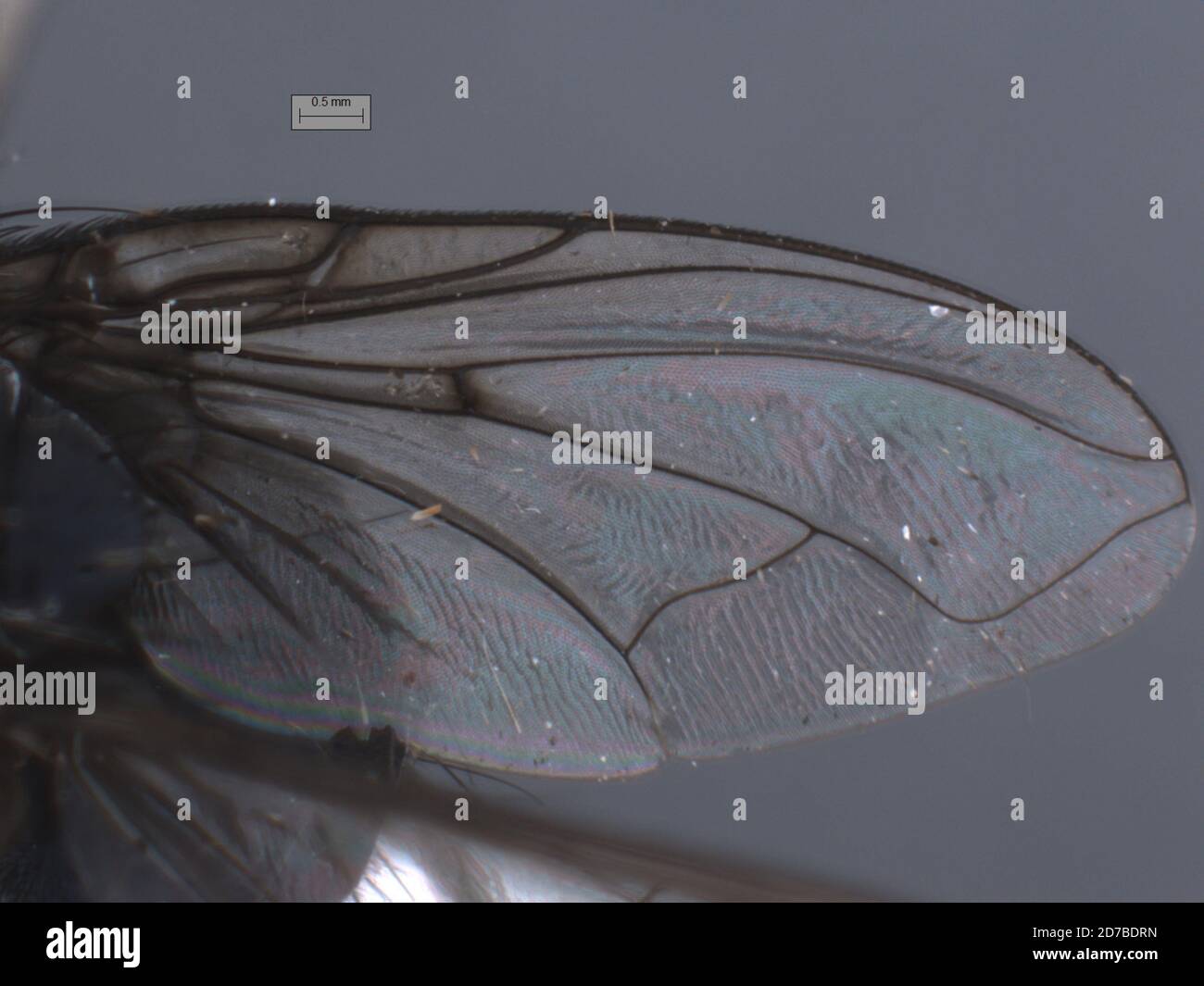 8 kilometers south of chulumani hi-res stock photography and images - Alamy