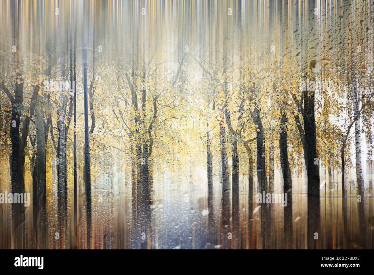 Background autumn rain in the park Stock Photo - Alamy