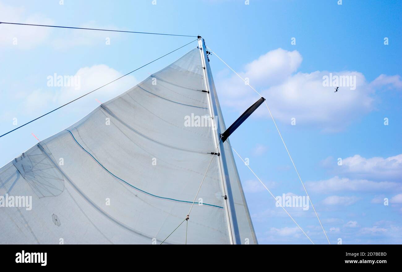 White sail catching the wind Stock Photo - Alamy