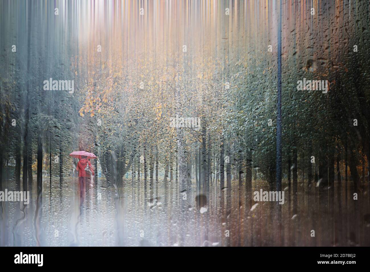 Background autumn rain in the park Stock Photo - Alamy