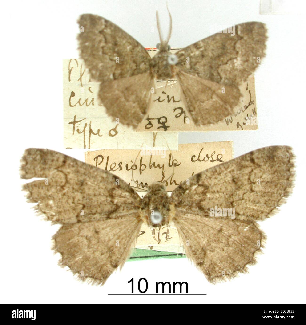 Estero salado hi-res stock photography and images - Alamy