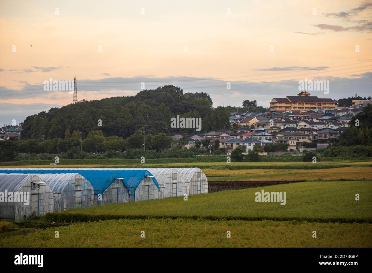 Japan greenhouses hi-res stock photography and images - Alamy