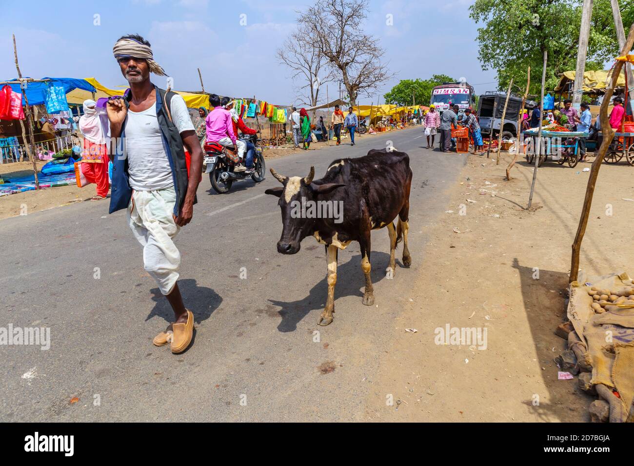 Indian cow market hi-res stock photography and images - Alamy