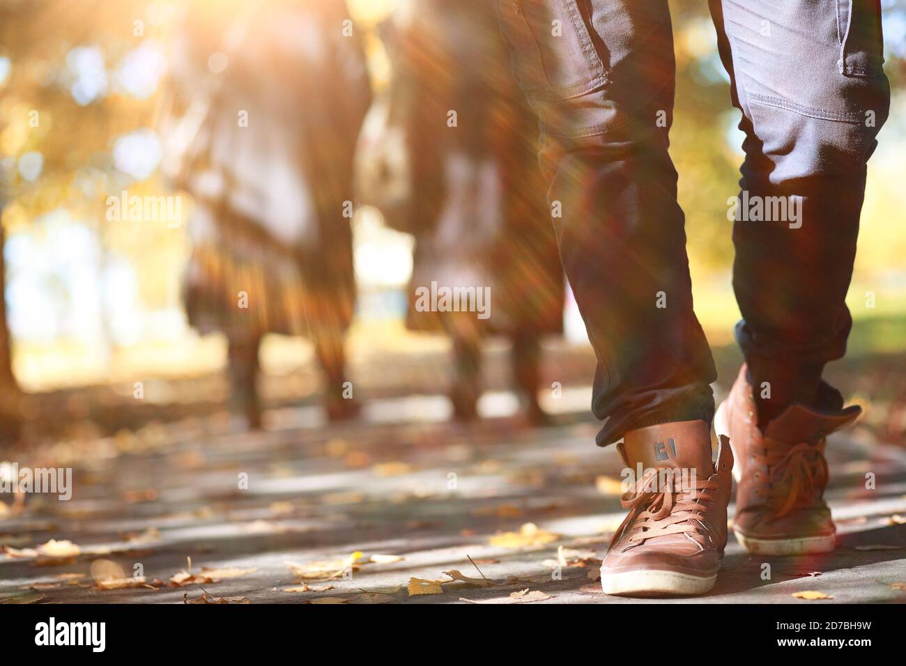 Autumn Park man walking along a path foliage Stock Photo - Alamy