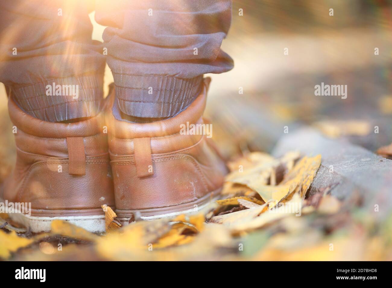 Autumn Park man walking along a path foliage Stock Photo - Alamy