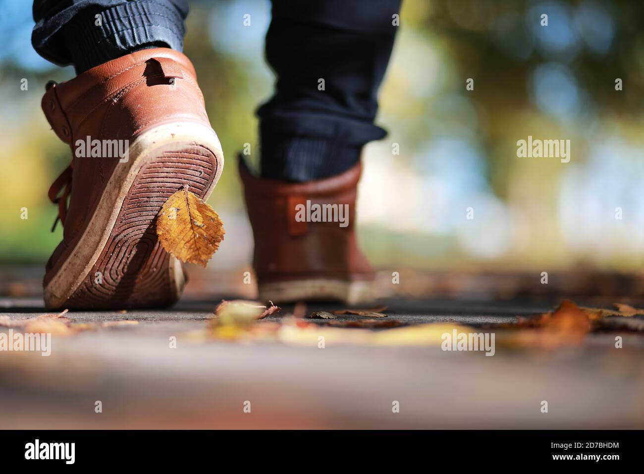 Autumn Park man walking along a path foliage Stock Photo - Alamy