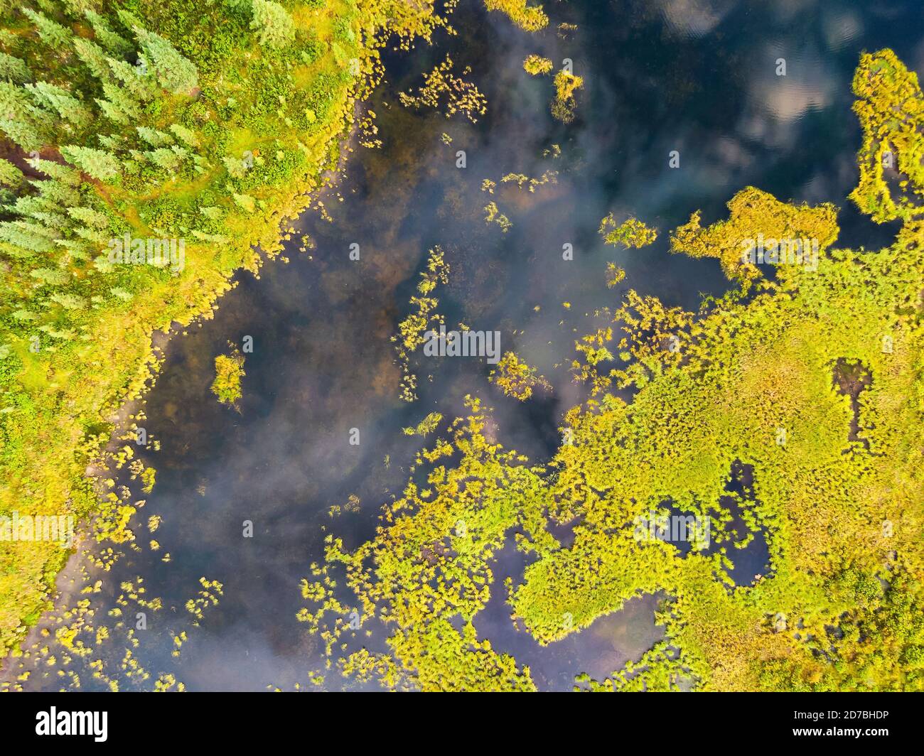 Aerial view of colorful pond in the marshlands Stock Photo - Alamy